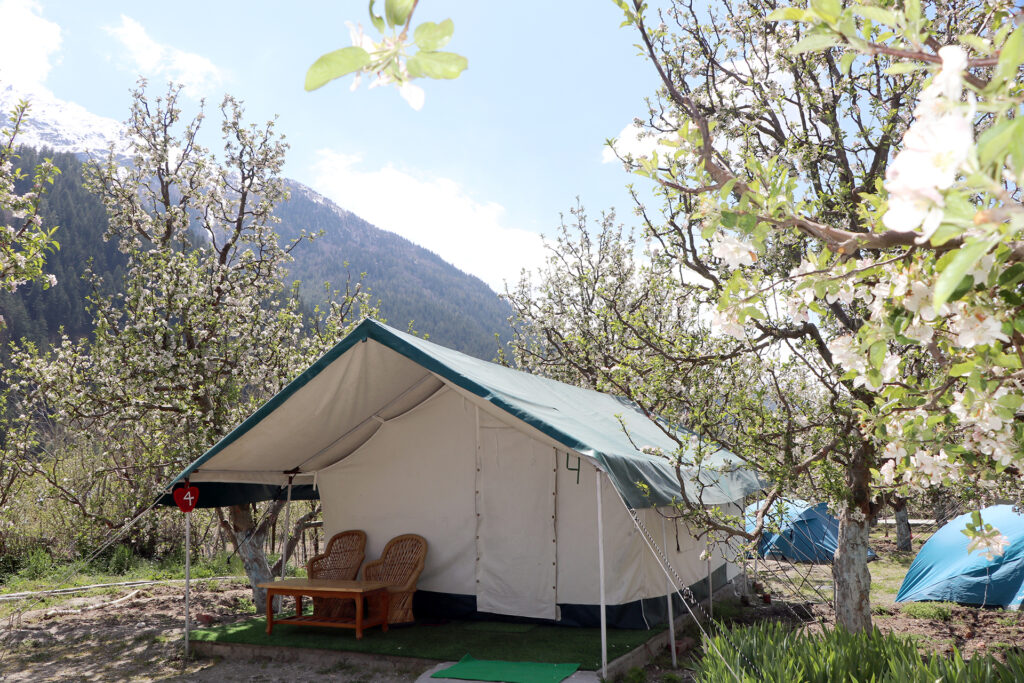 5 N / 6 D – Camping Retreat - Grand Shamba-la Kalpa